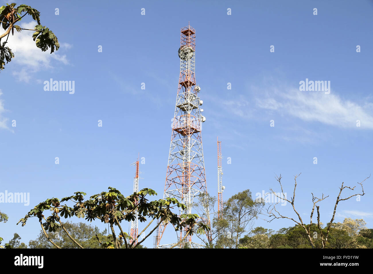 Antenna in the Jungle Stock Photo - Alamy