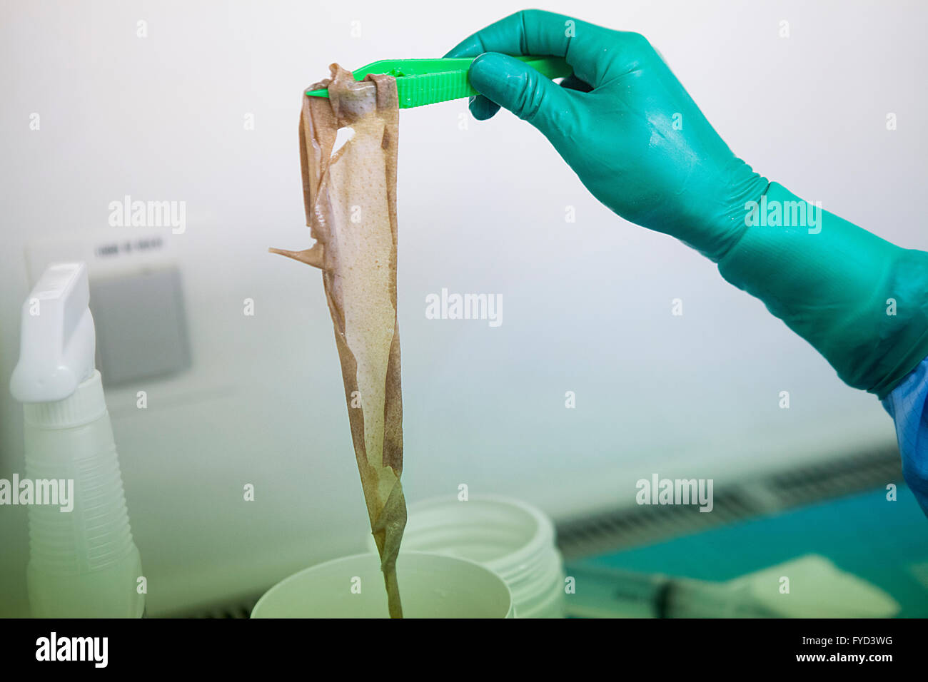 Biobanking hi-res stock photography and images - Alamy