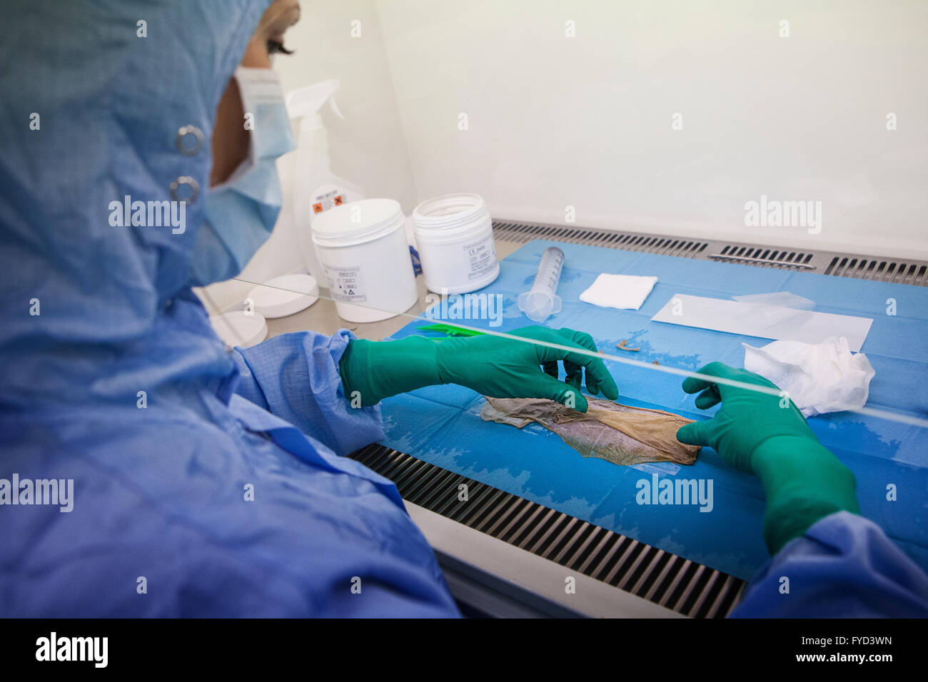 Skin graft laboratory hi-res stock photography and images - Alamy