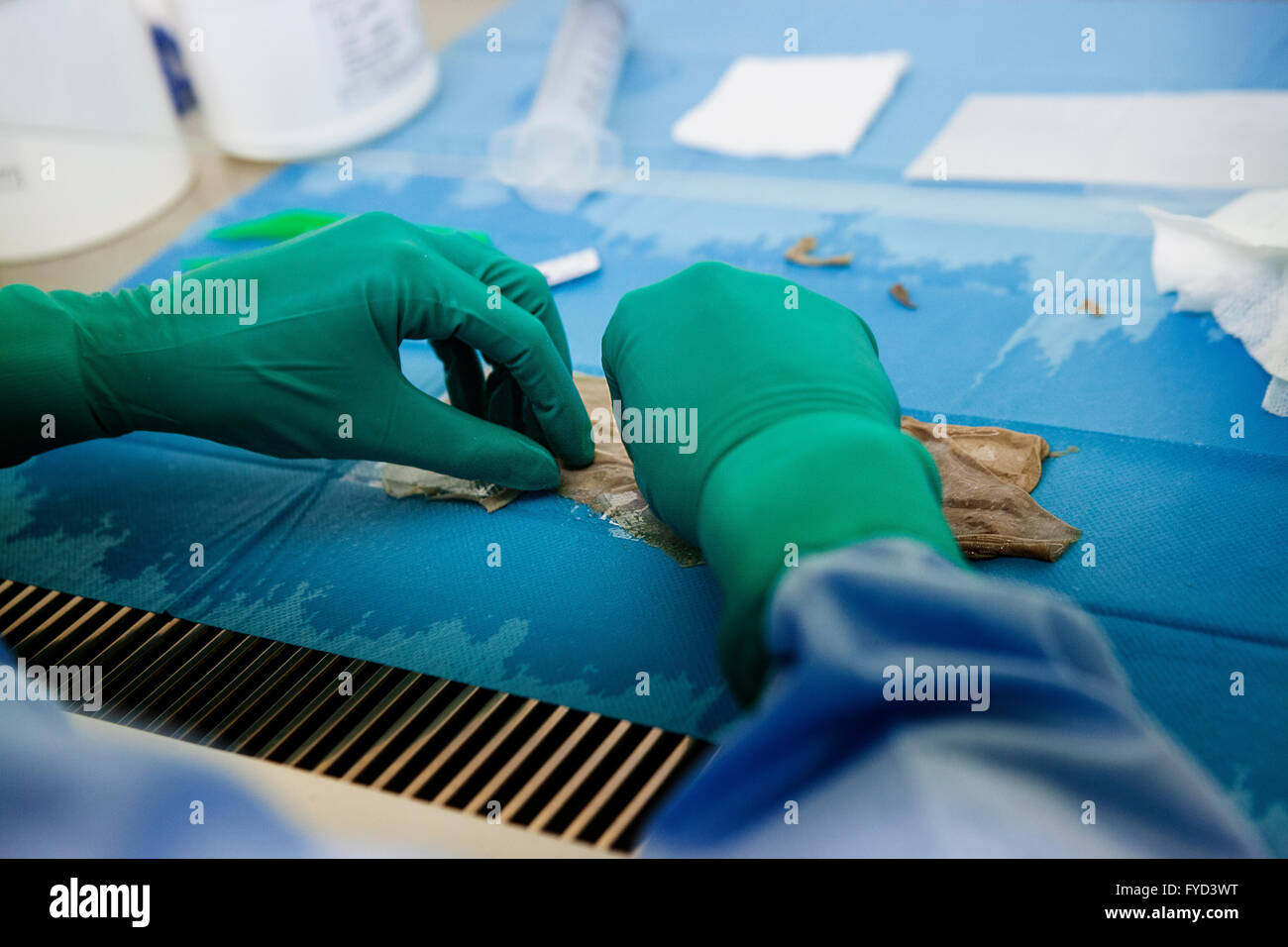 Skin Graft Laboratory High Resolution Stock Photography and Images - Alamy