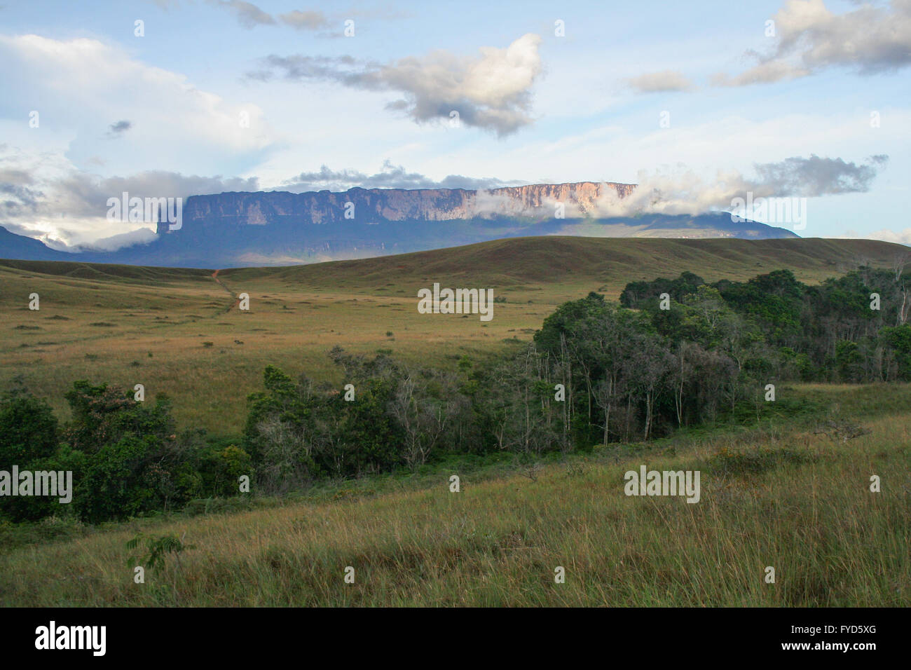 A view of the Roraima Mountain in Venezuela - Landscape Stock Photo - Alamy