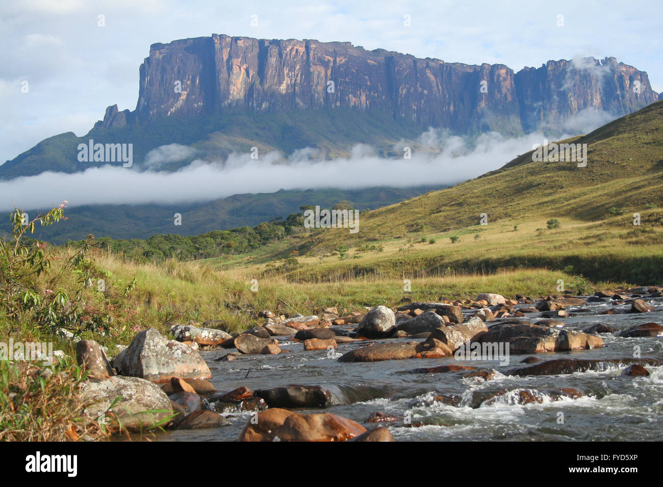 A view of the Roraima Mountain in Venezuela - Landscape Stock Photo - Alamy