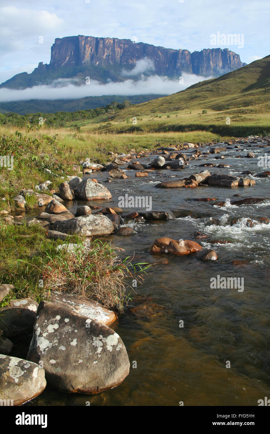 A view of the Roraima Mountain in Venezuela - Landscape Stock Photo - Alamy