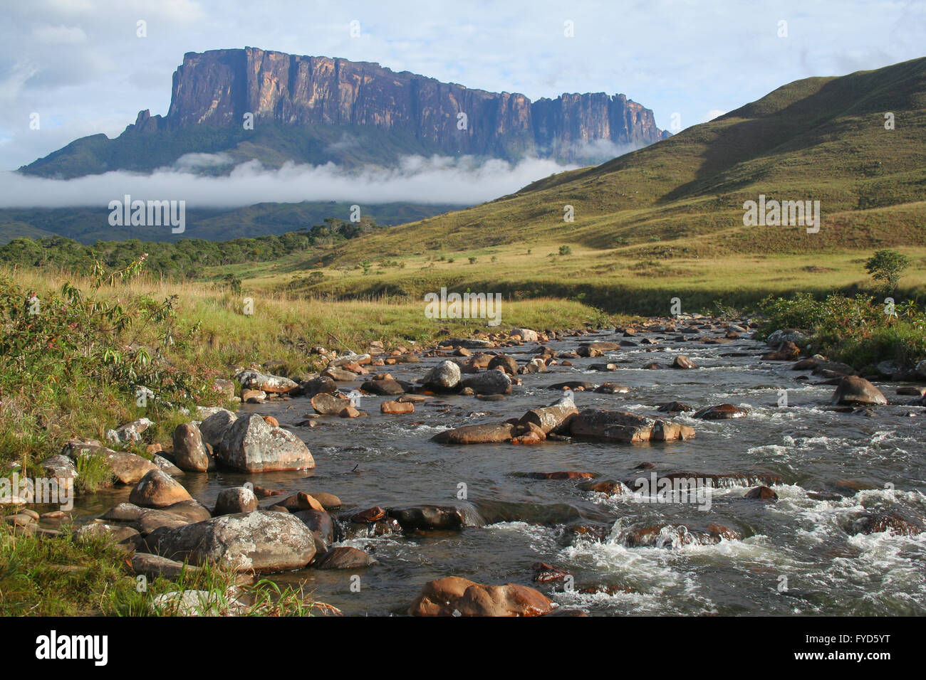 A view of the Roraima Mountain in Venezuela - Landscape Stock Photo - Alamy
