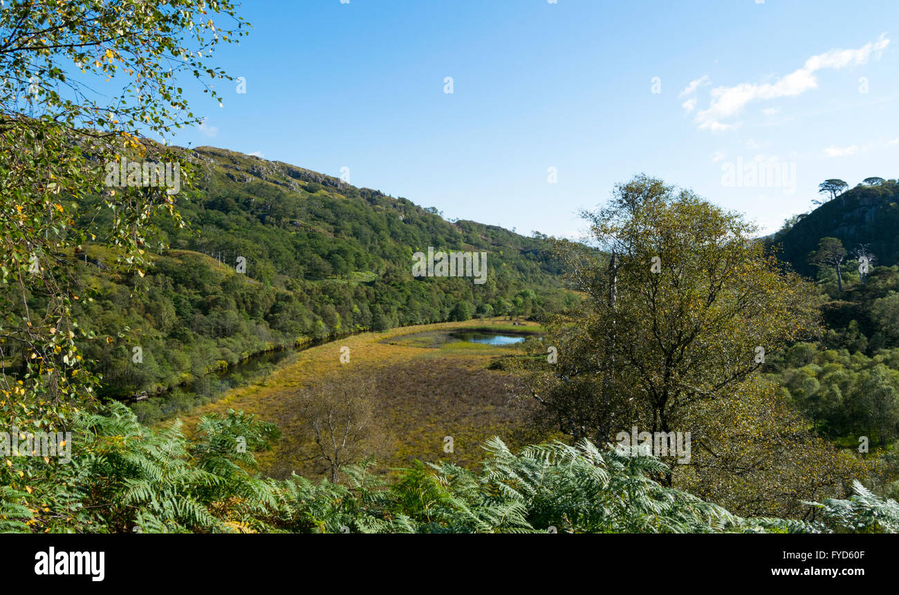 A view overlooking the River Callop floodplain surrounded by woodland ...