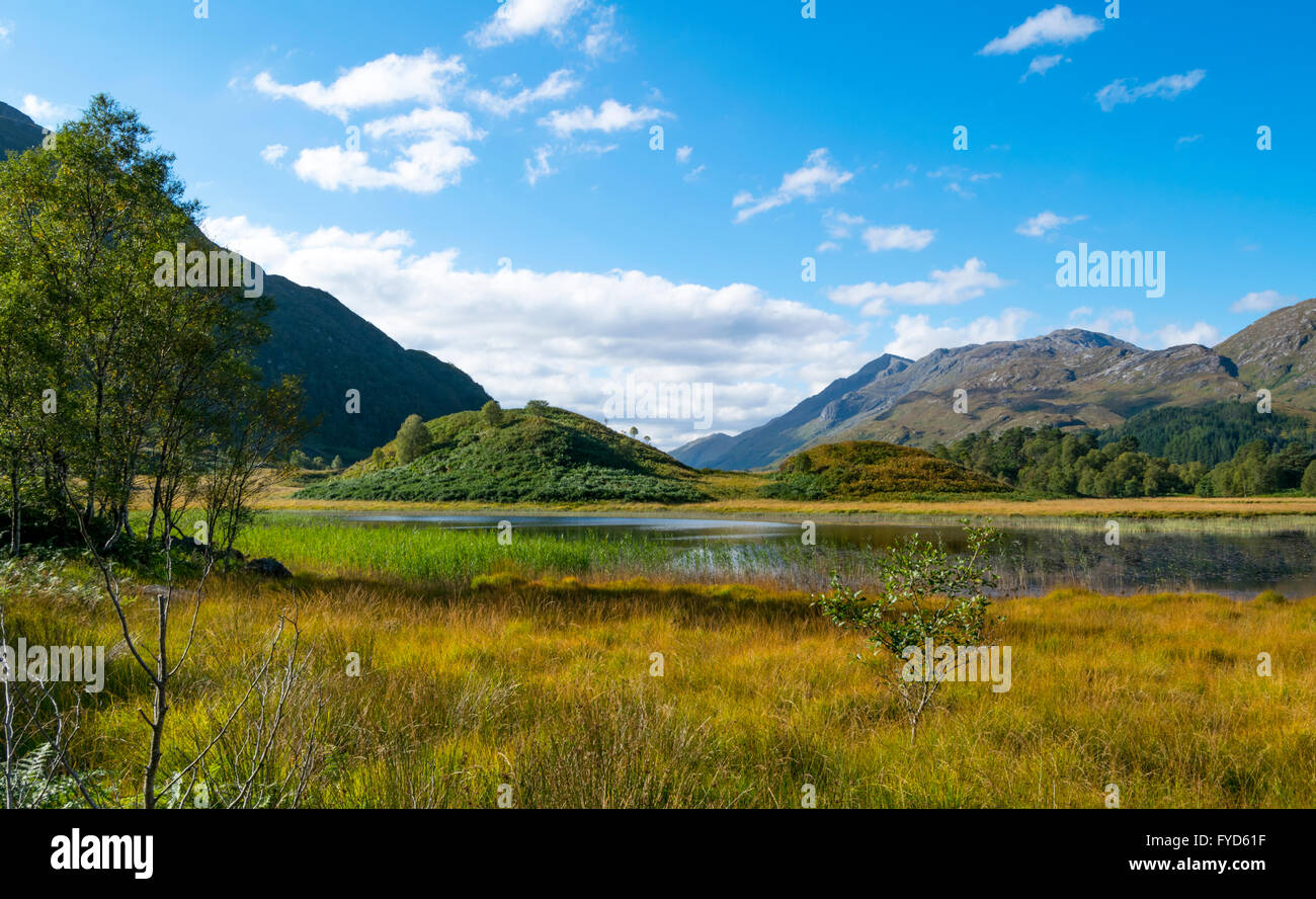 Overlooking a wetland in Glenfinnan with the mountains surrounding Loch ...