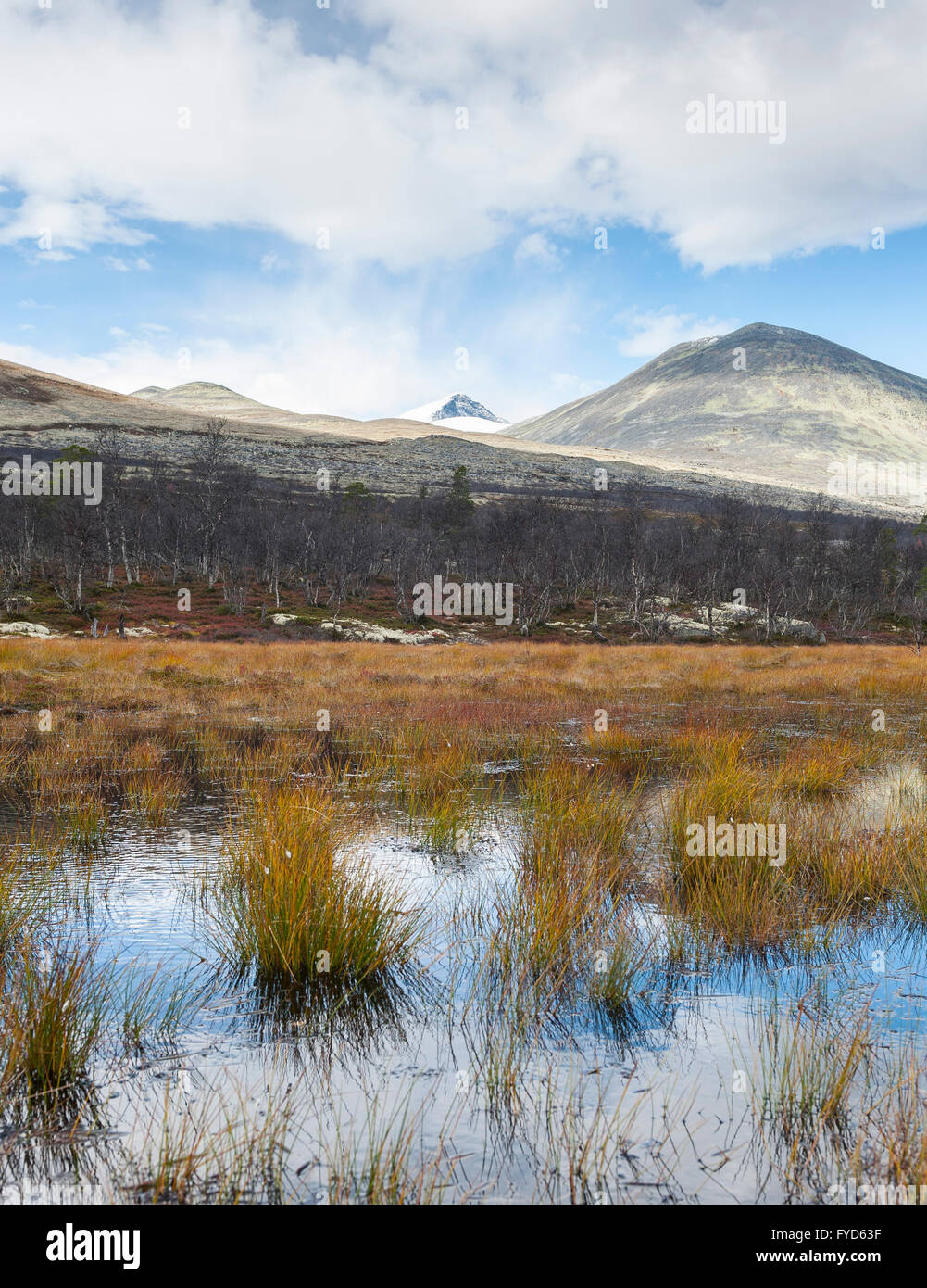 Fjäll berg åre hi-res stock photography and images - Alamy