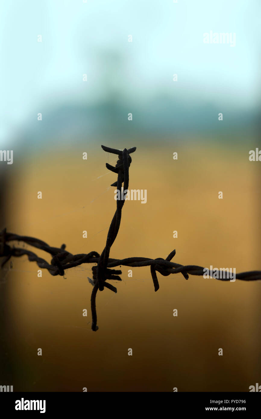 Barbed fencing hi-res stock photography and images - Alamy
