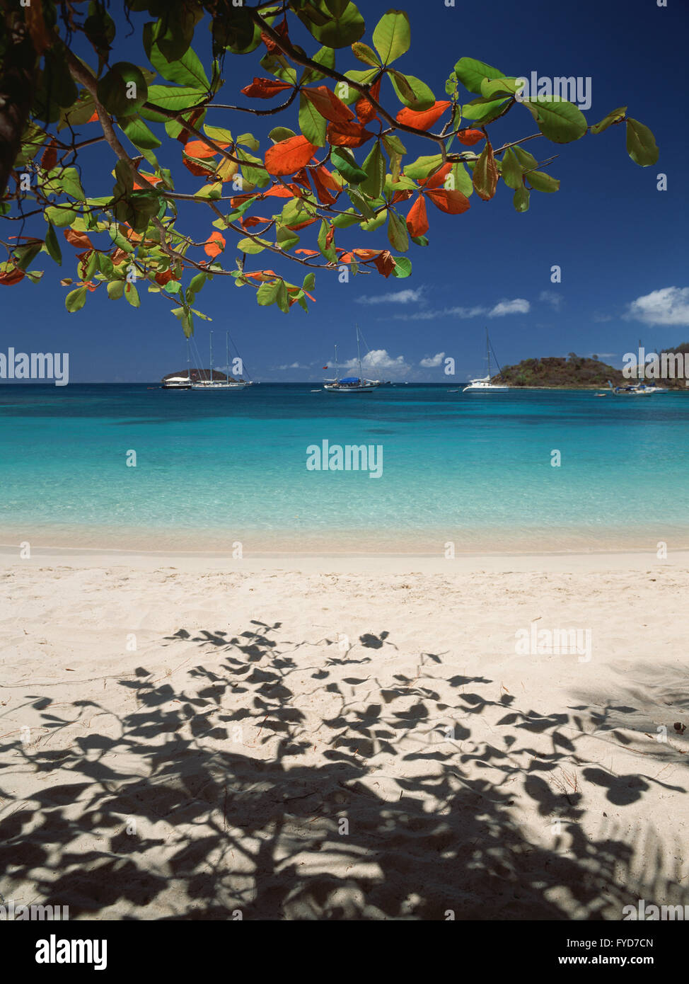 Caribbean Beach Paradise Stock Photo - Alamy