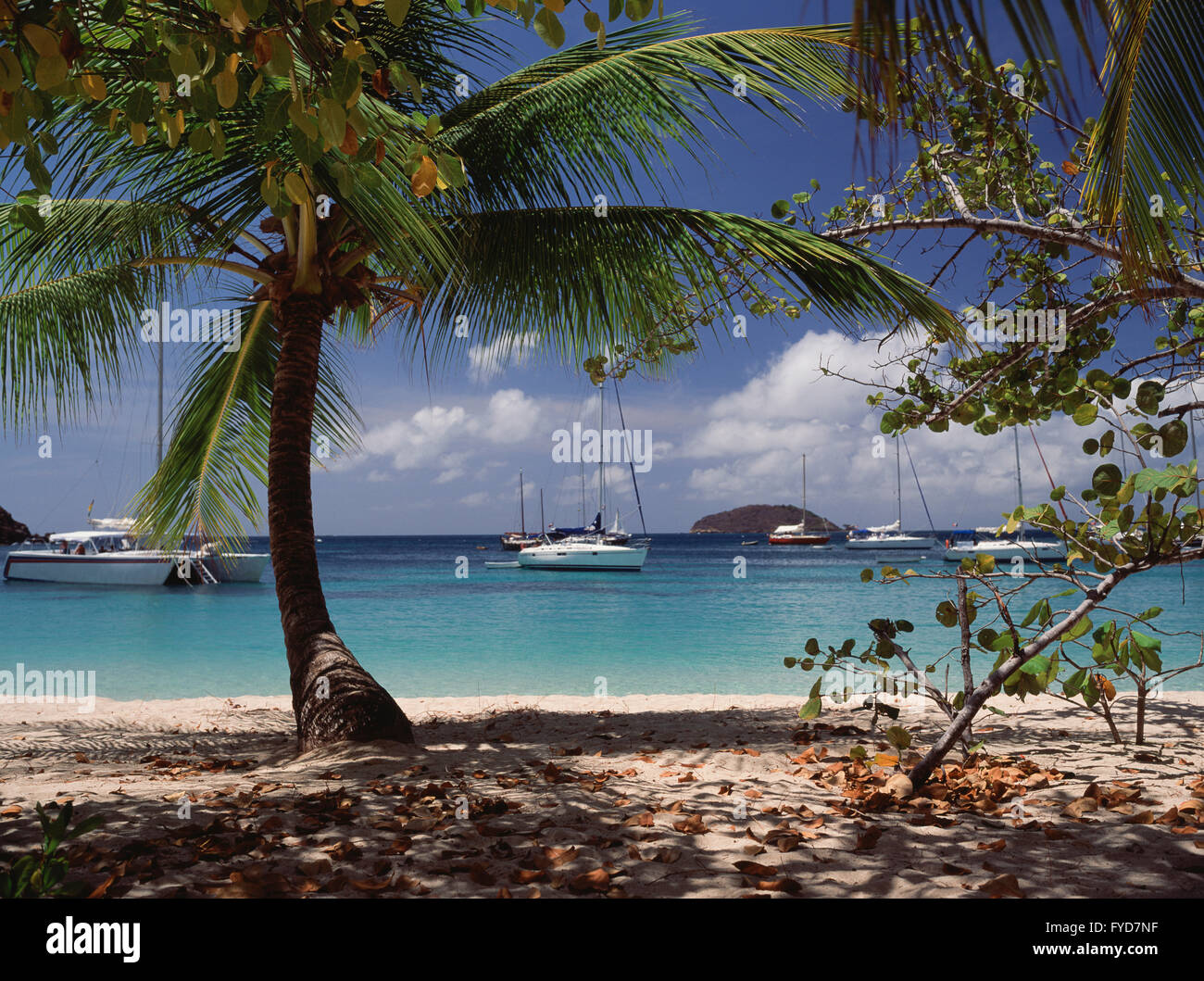 Caribbean Beach Paradise Stock Photo - Alamy