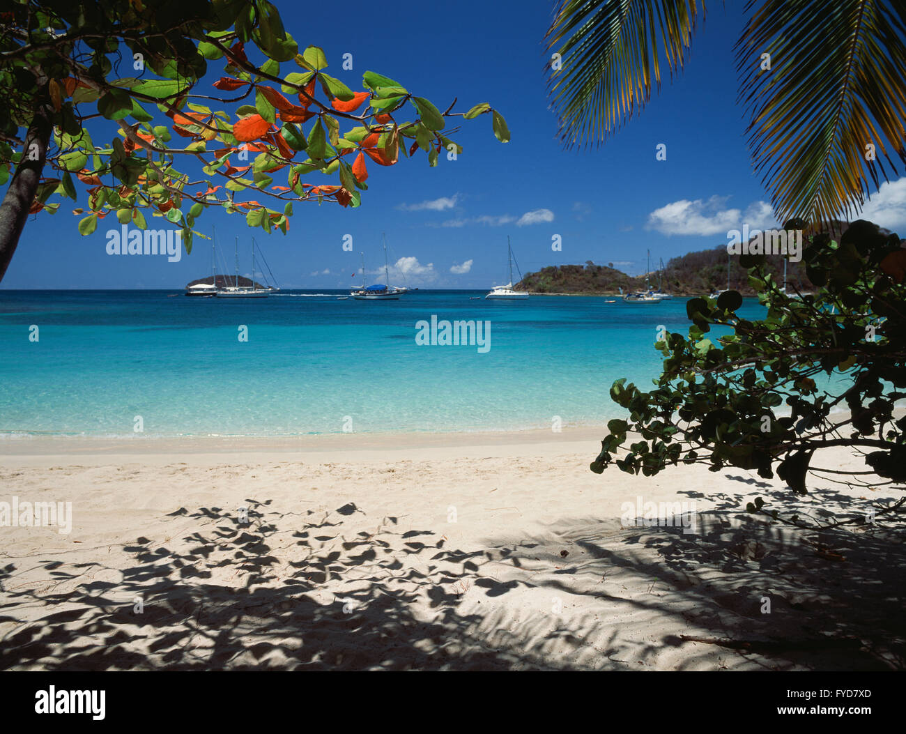 Caribbean Beach Paradise Stock Photo - Alamy