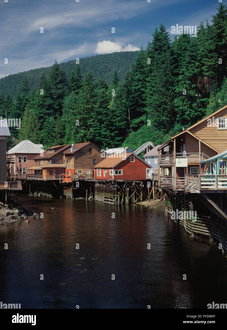 Ketchikan alaska bear hi-res stock photography and images - Alamy