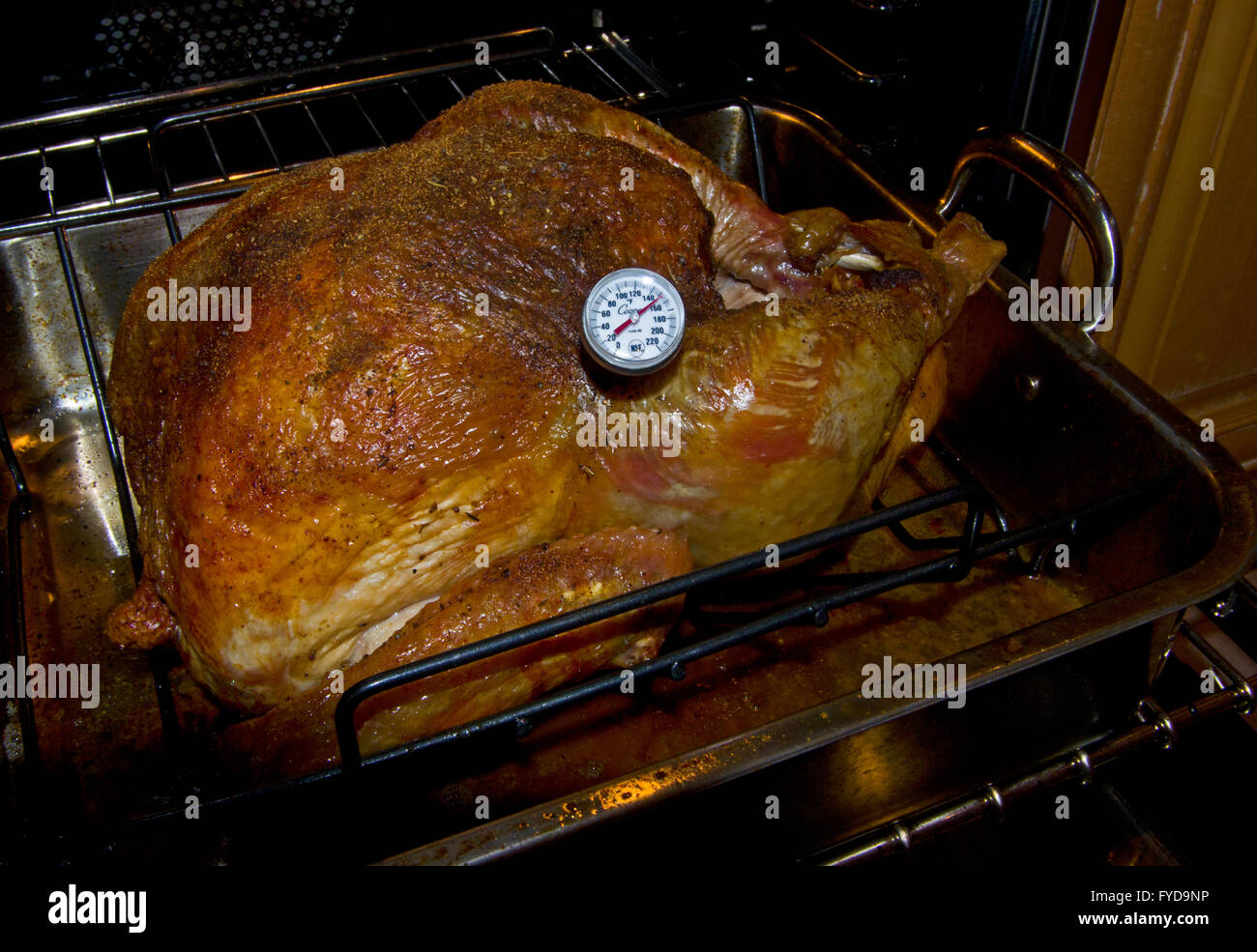 Roast meat thermometer hi-res stock photography and images - Alamy