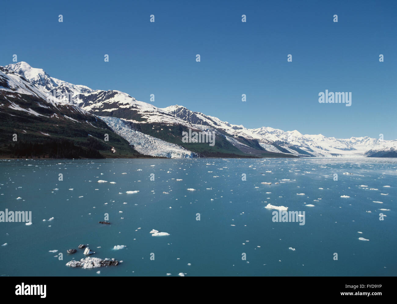 College Fjord, Alaska, USA Stock Photo - Alamy