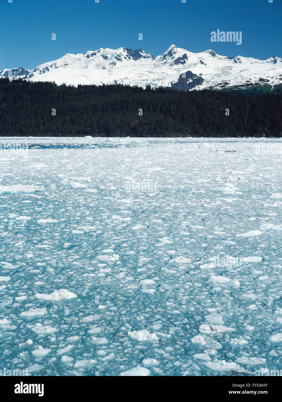 Mountains and Glaciers in Alasksa Stock Photo - Alamy