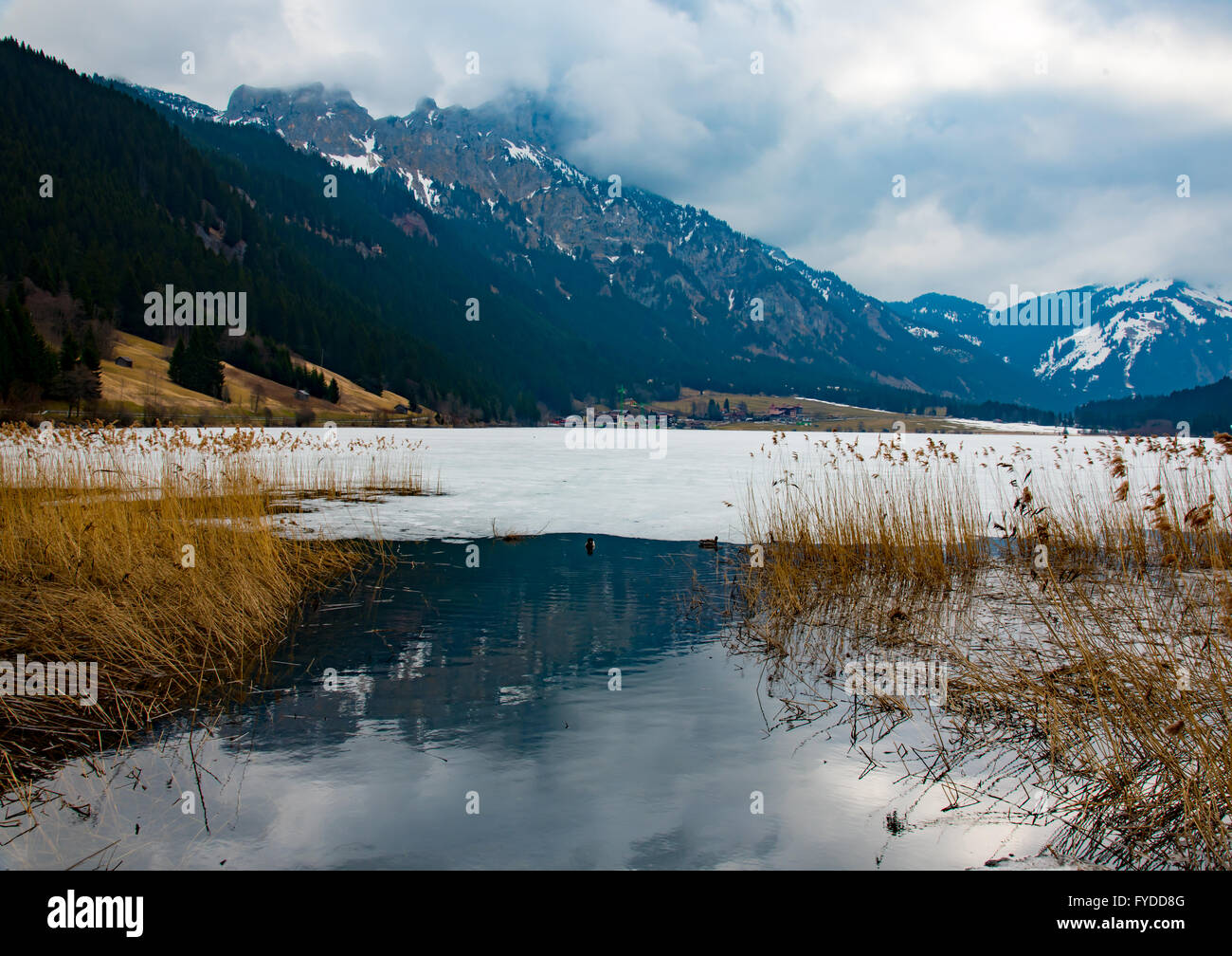 Norwegian austrian hi-res stock photography and images - Alamy