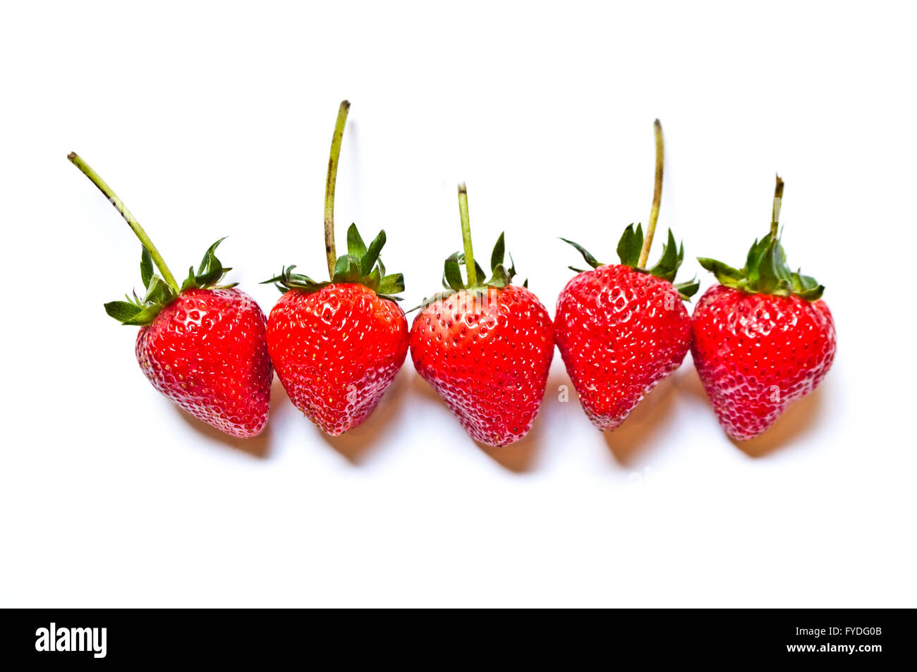 Five strawberries line up on white background Stock Photo - Alamy