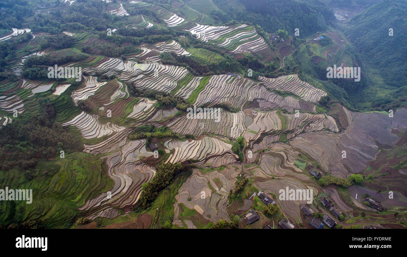 Junlian. 25th Apr, 2016. Photo taken on April 25, 2016 shows the ...
