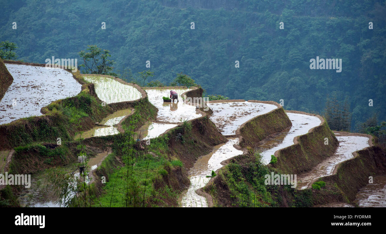 Junlian, China's Sichuan Province. 26th Apr, 2016. A villager works at ...