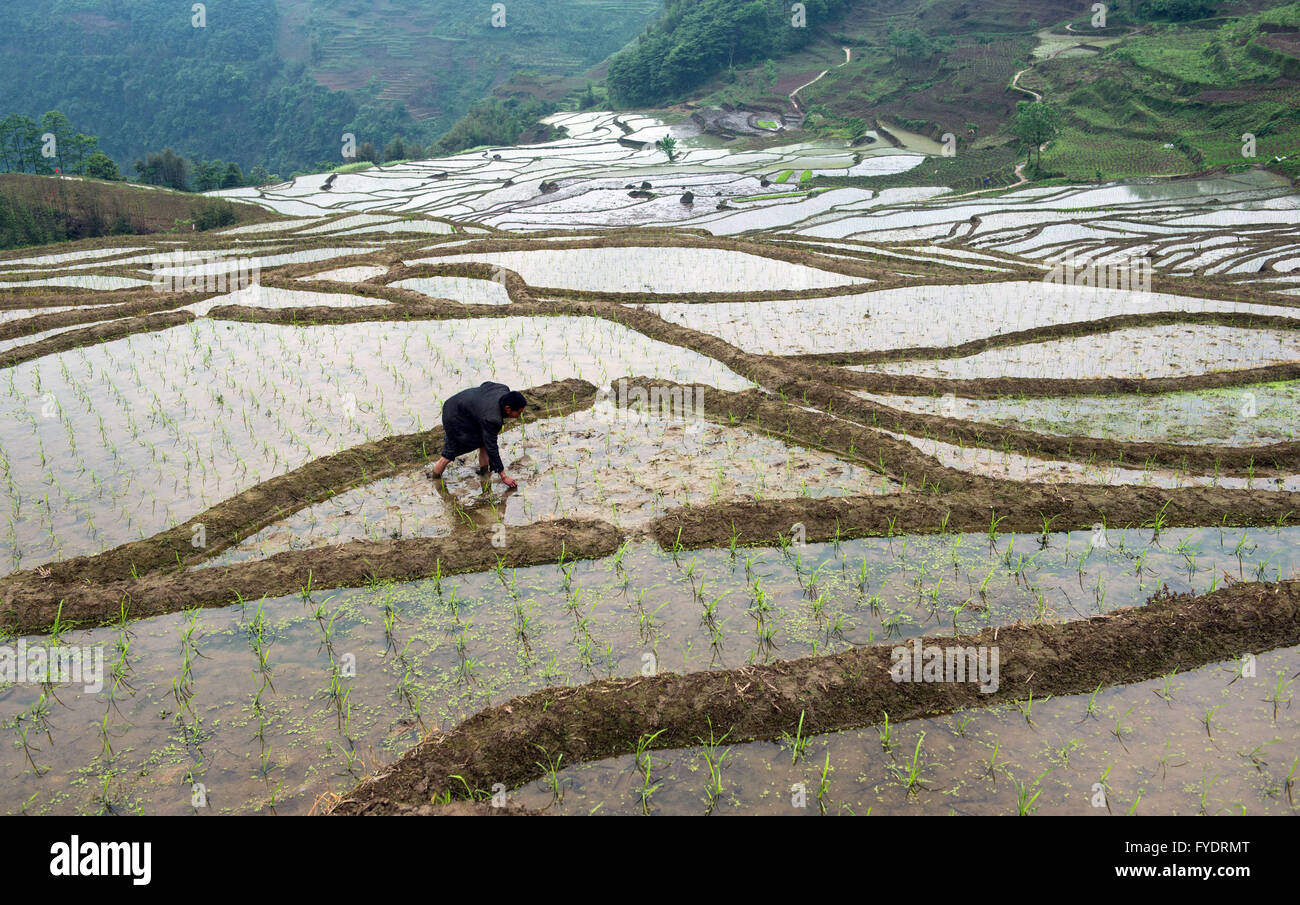 Junlian, China's Sichuan Province. 26th Apr, 2016. A villager works at ...