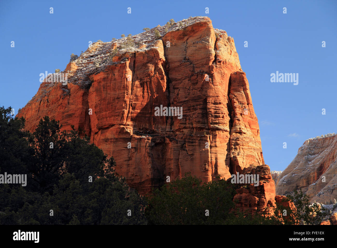 Angels Landing in Zion National Park, Utah Stock Photo - Alamy