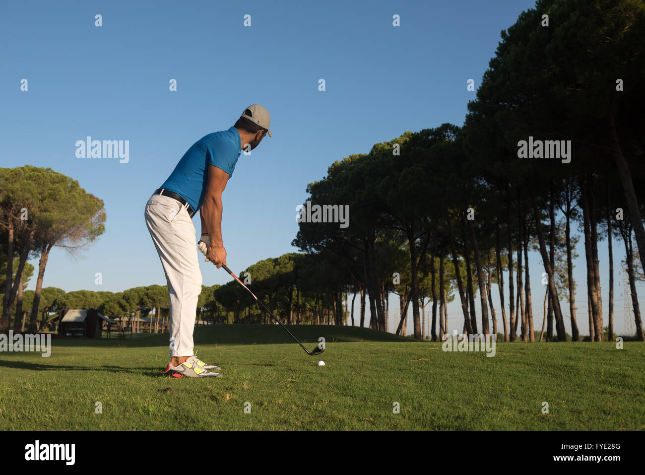 handsome sporty man, golf player hitting shot with club on course at ...