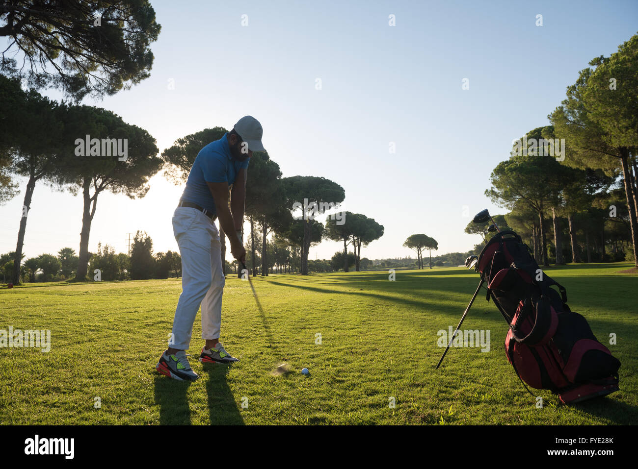 handsome sporty man, golf player hitting shot with club on course at ...