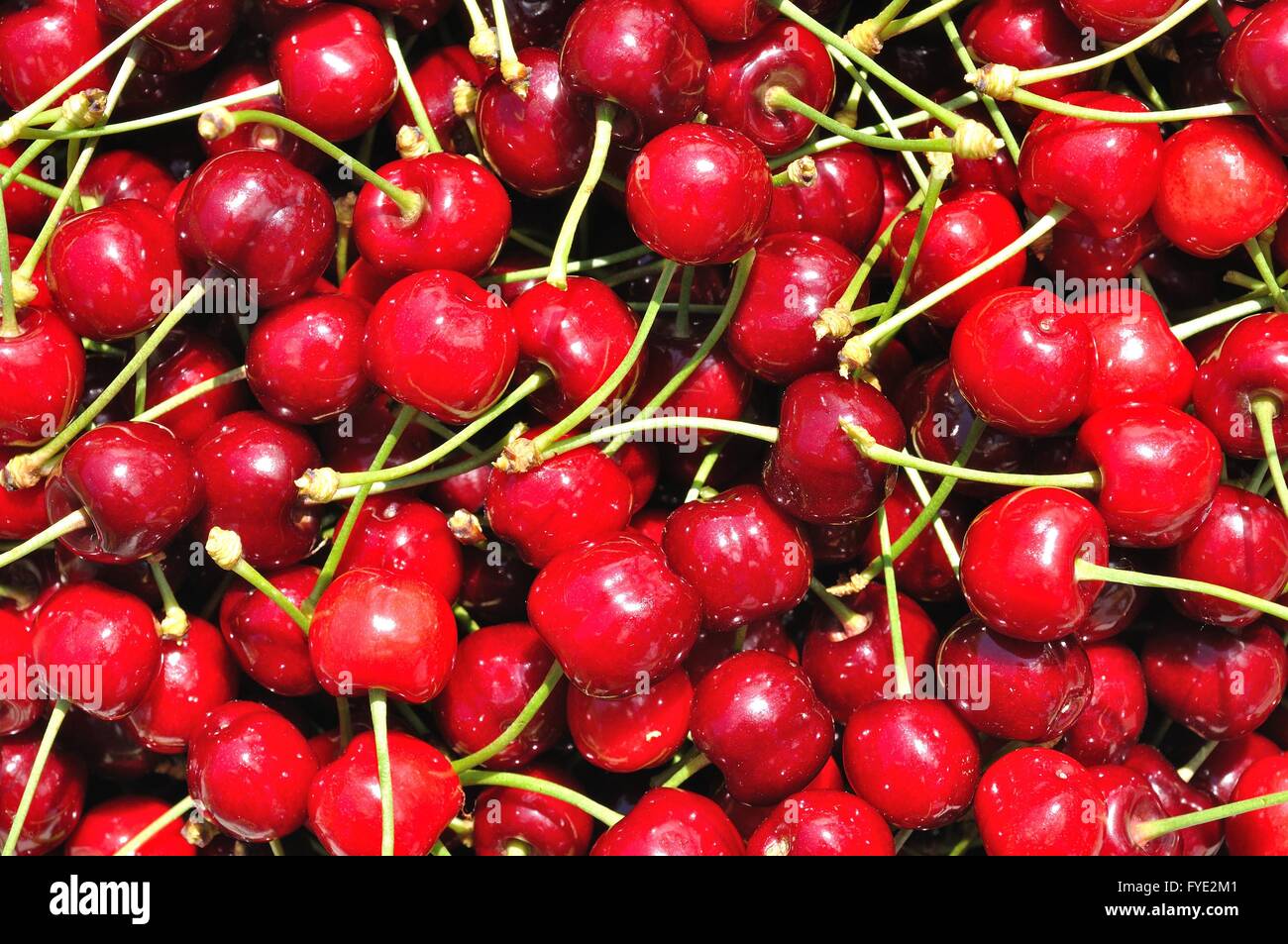 Texture from group of red ripe cherries. Natural background Stock Photo ...