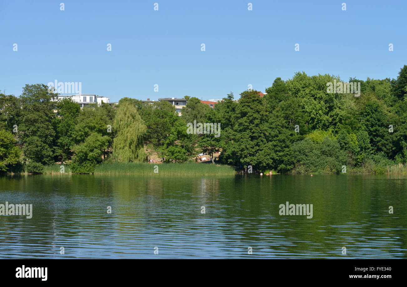 Halensee, Grunewald, Berlin, Deutschland Stock Photo - Alamy