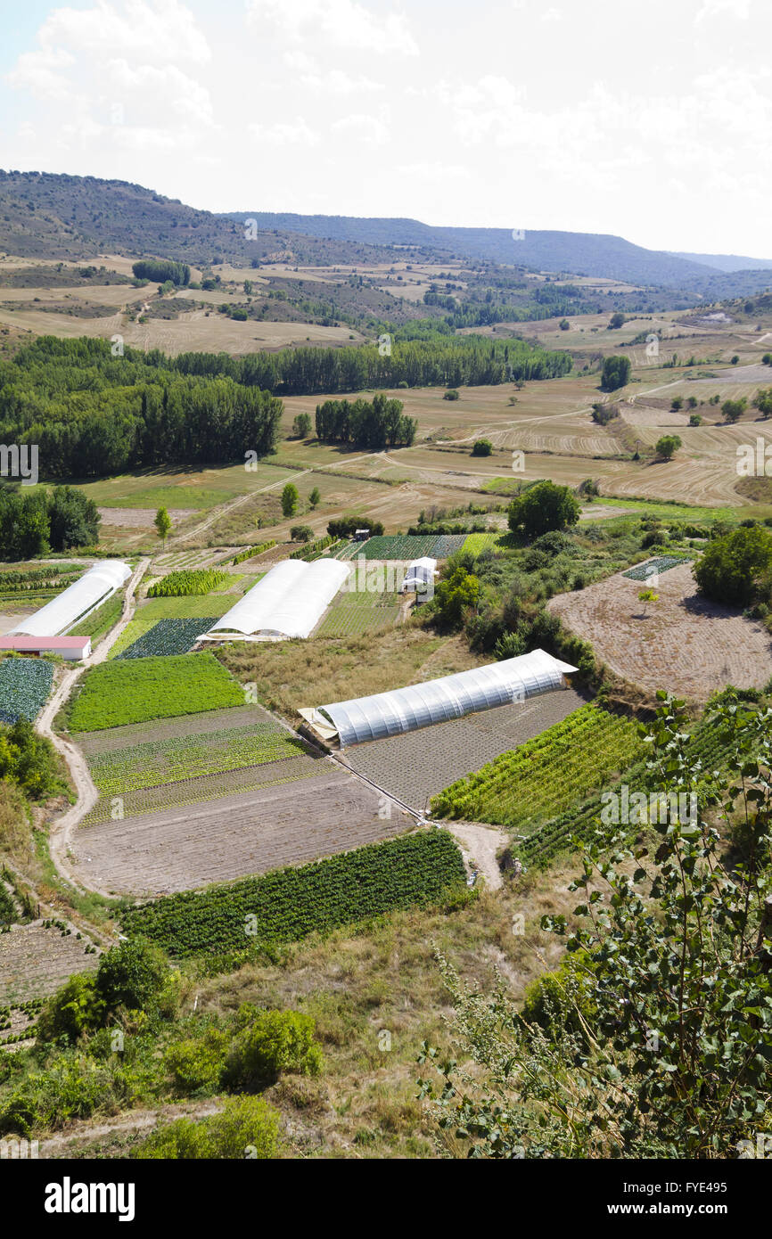 Cultivated land in a rural landscape Stock Photo - Alamy