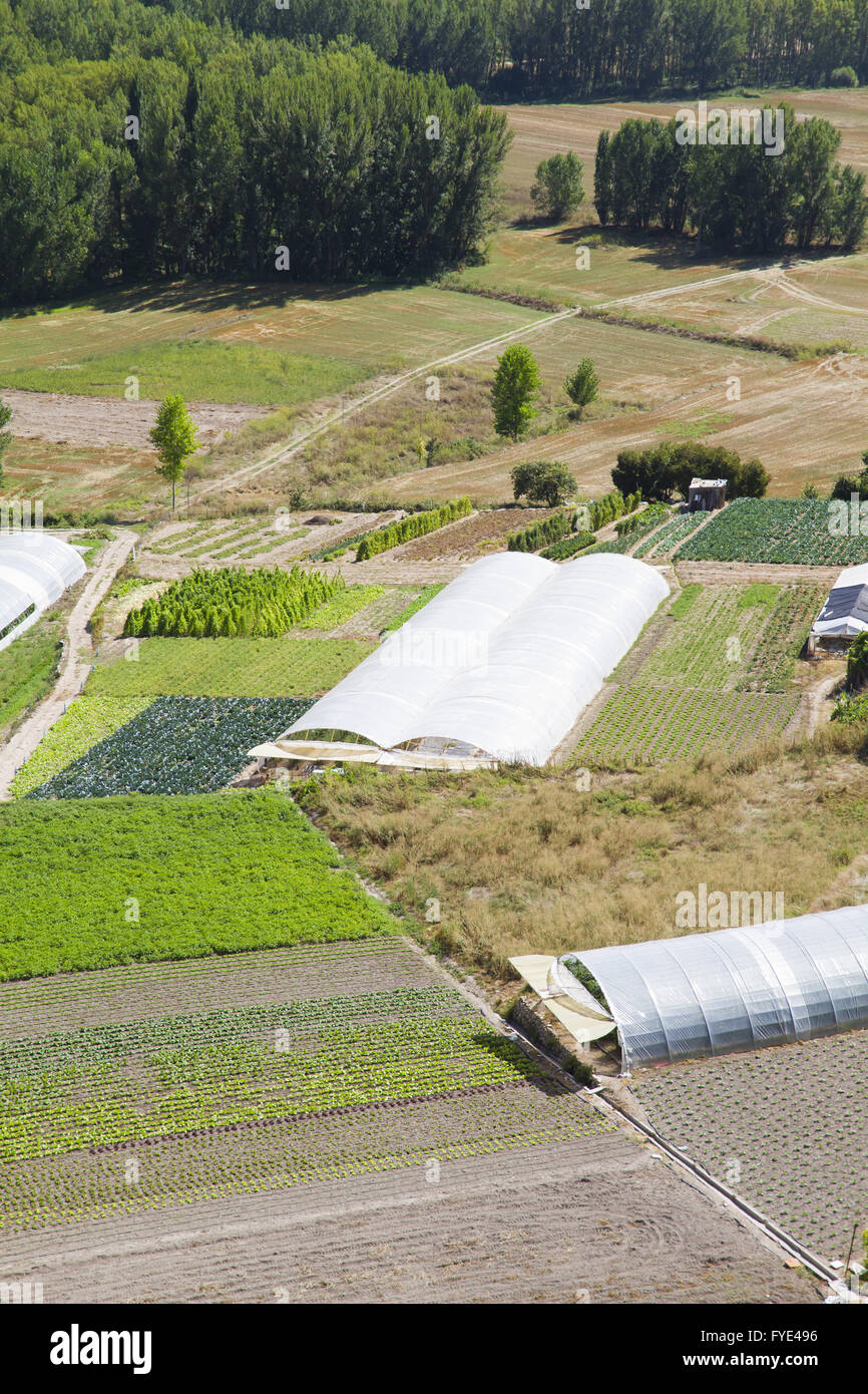 Cultivated land in a rural landscape Stock Photo - Alamy