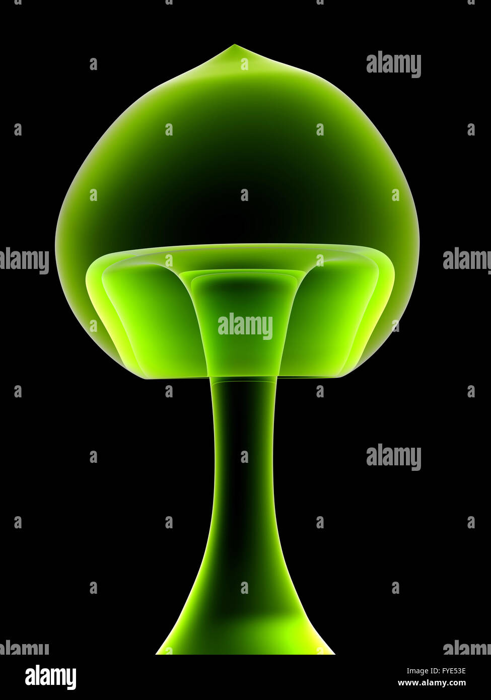Freaky translucent Mushroom Stock Photo - Alamy