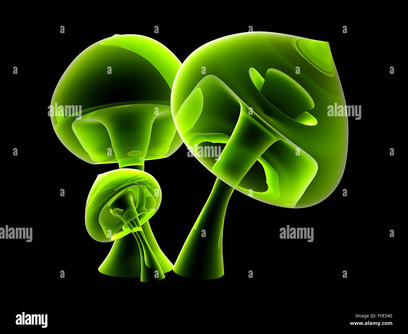 Freaky translucent Mushrooms Stock Photo - Alamy