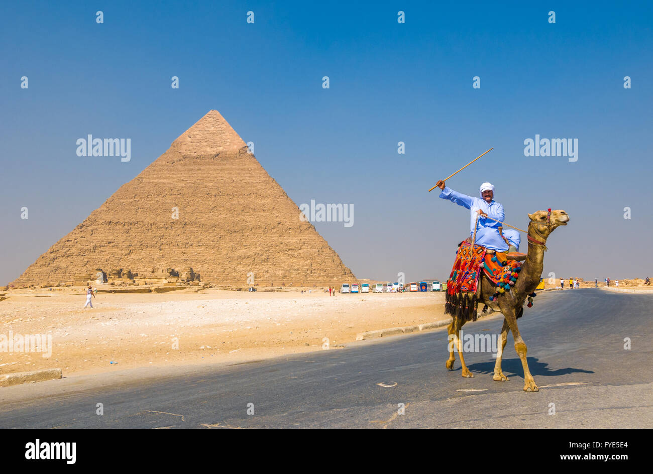 GIZA, EGYPT - September, 16, 2008: Camel rider and Pyramid of Khufu ...