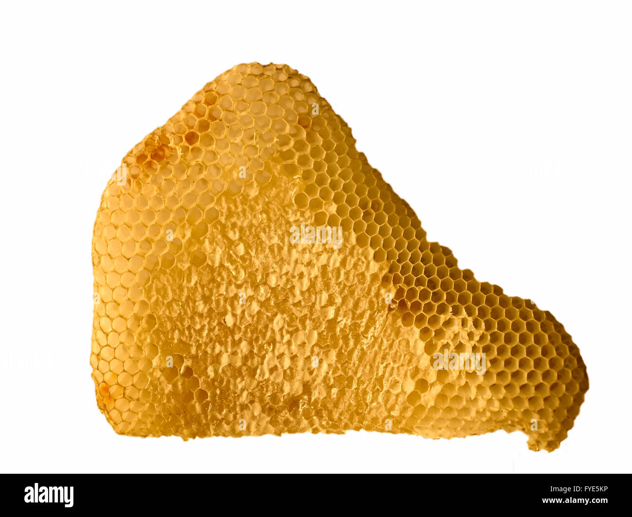 Honeycomb border hi-res stock photography and images - Alamy