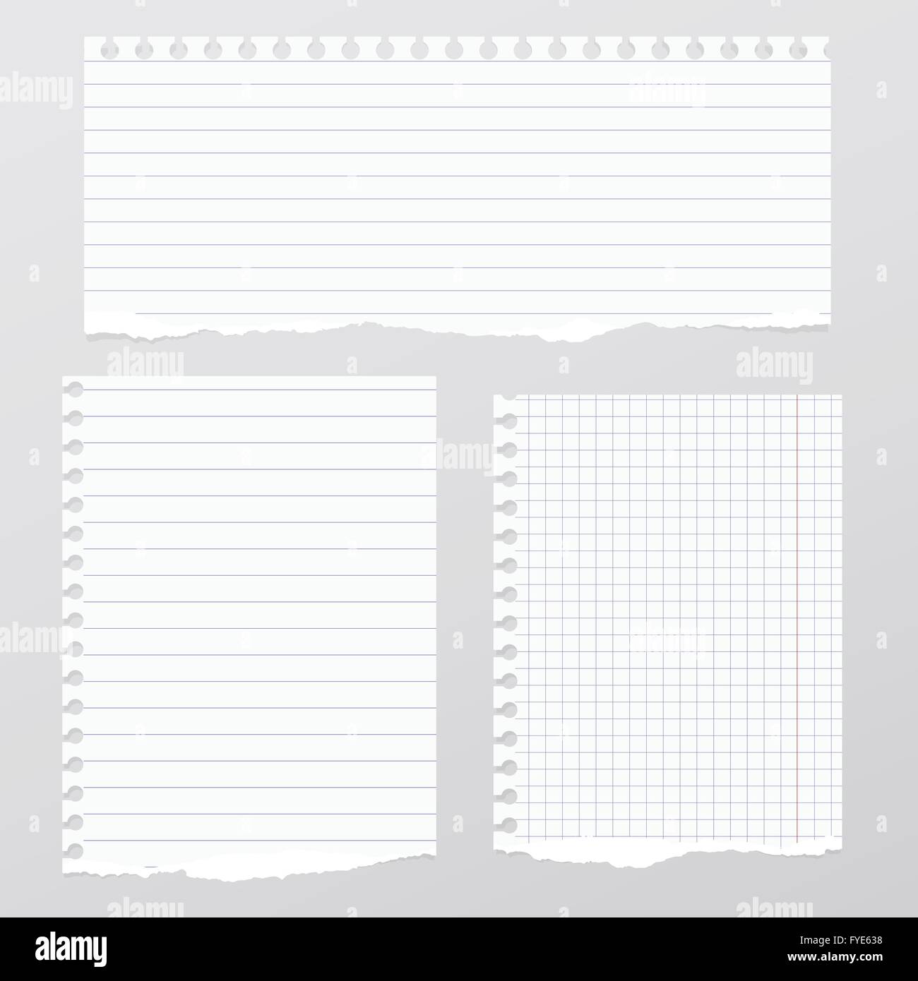Pieces of torn white lined, squared notebook paper are stuck on gray ...