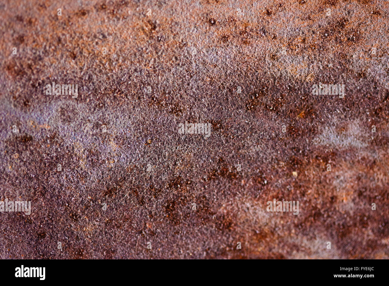 The metal plate badly damaged by rust Stock Photo - Alamy