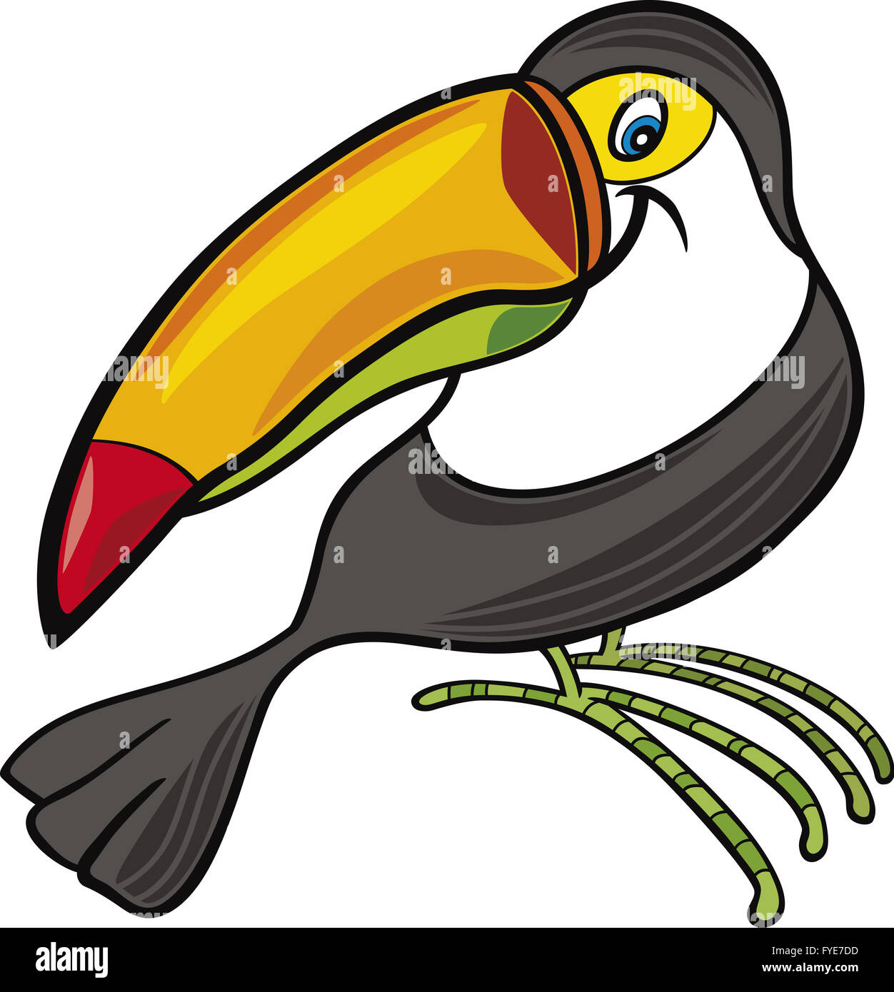 Toco toucan ramphastos toco Cut Out Stock Images & Pictures - Alamy