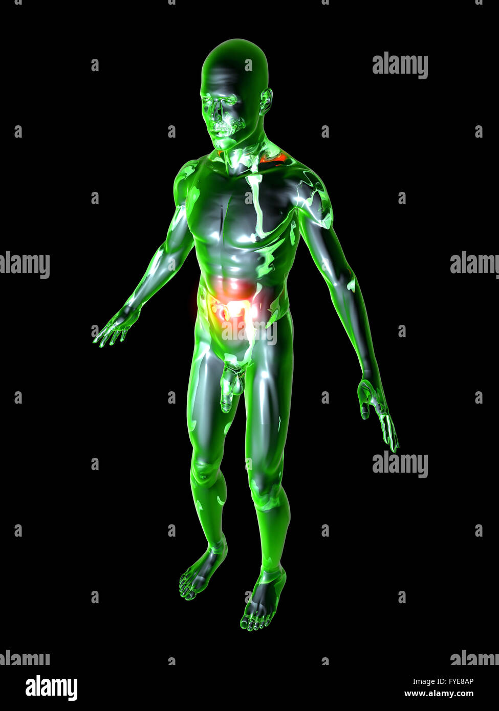 Belly Ache - Anatomy Stock Photo - Alamy