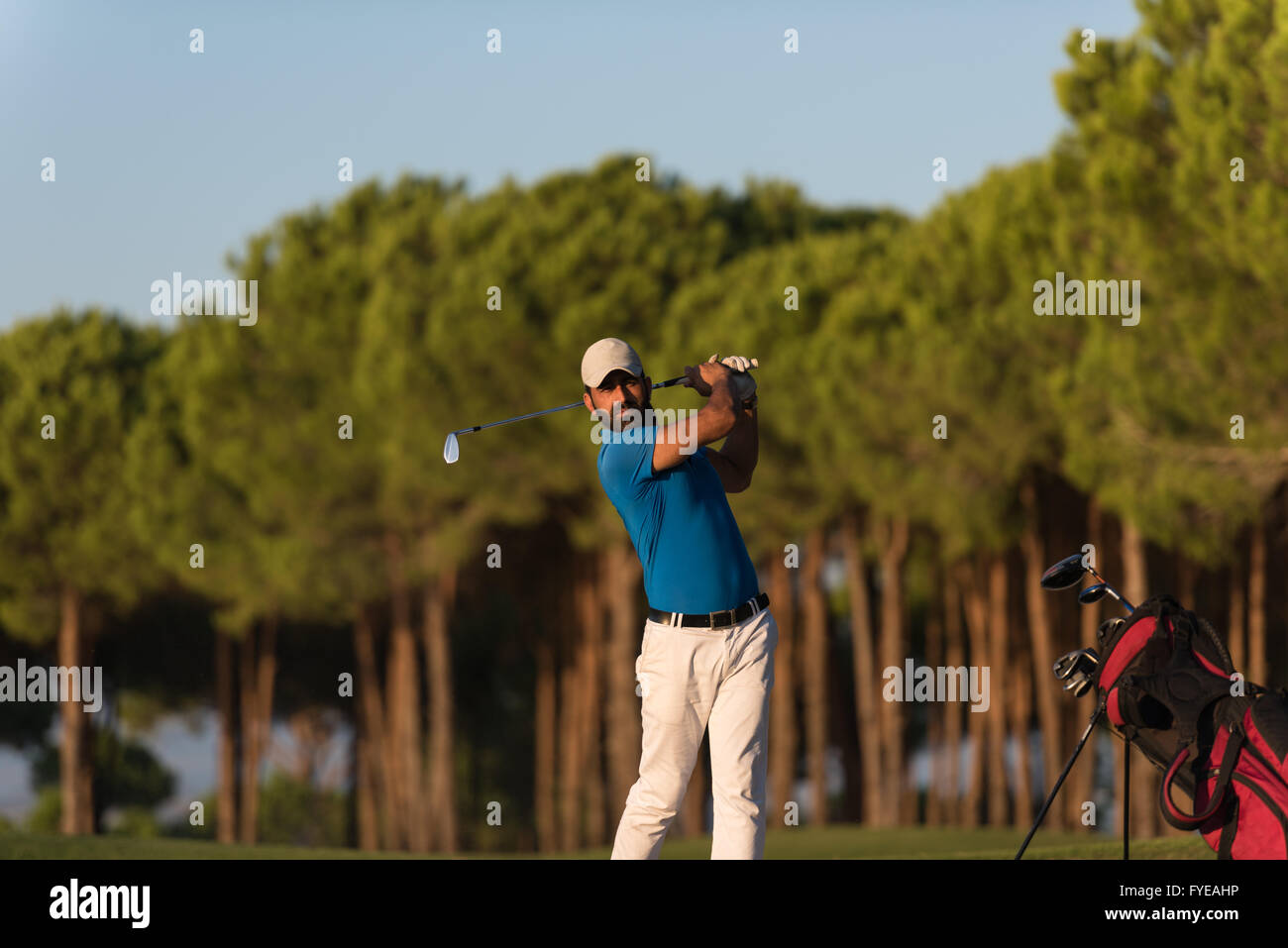 golfer shot ball from sand bunker at golf course with beautiful sunset ...
