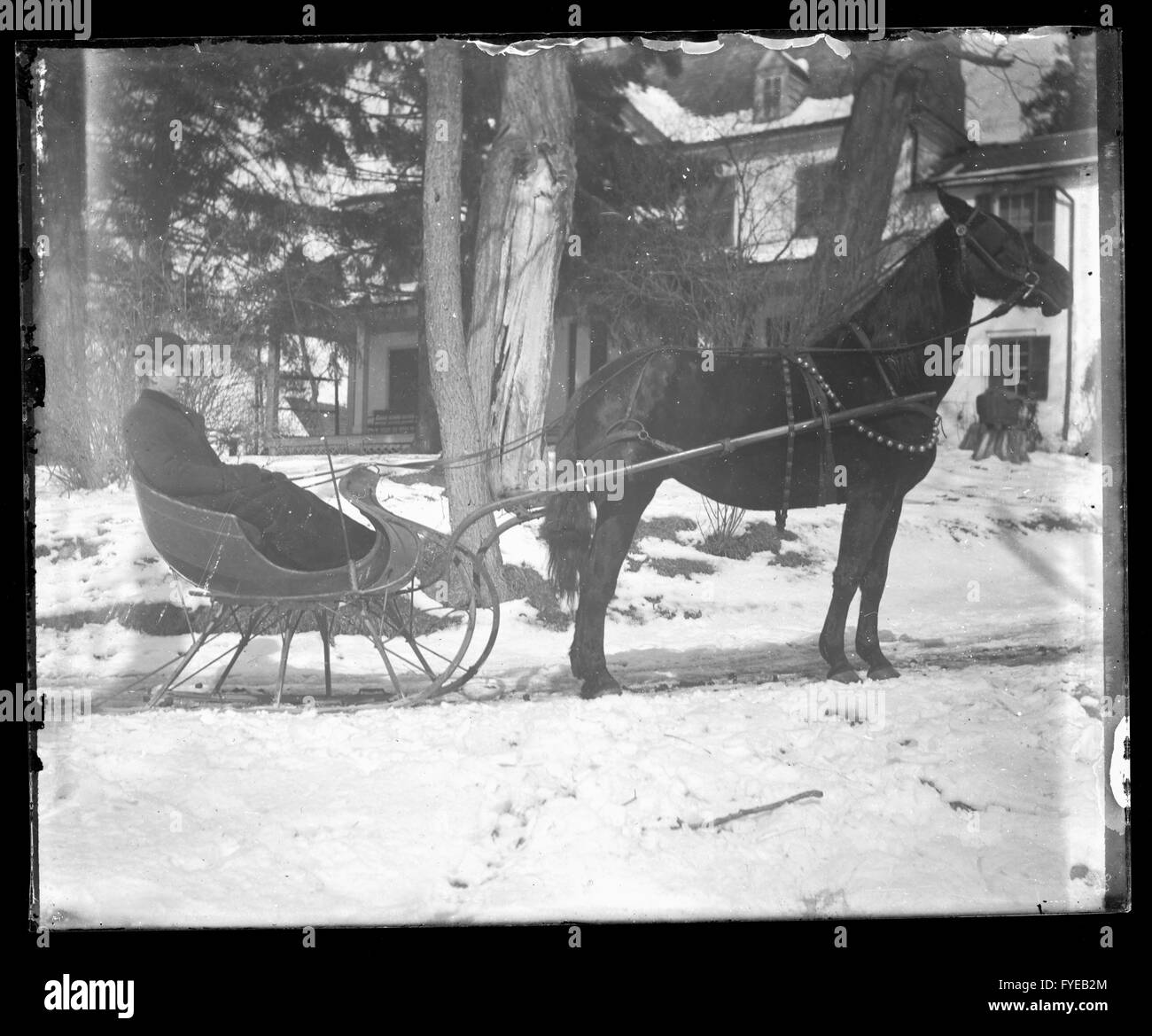 Victorian horse and carriage hi-res stock photography and images - Alamy
