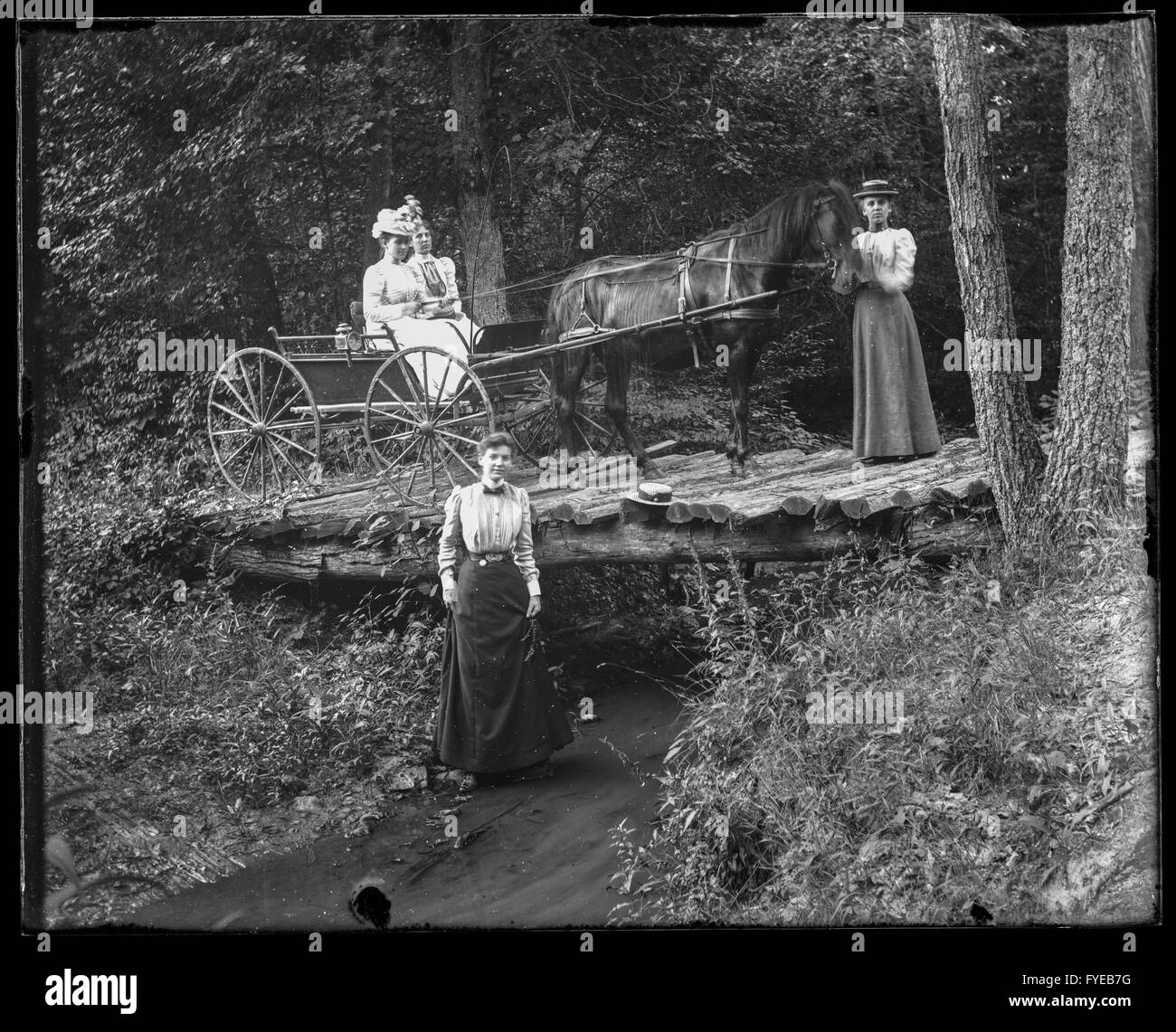 Vintage horse carriage hi-res stock photography and images - Alamy