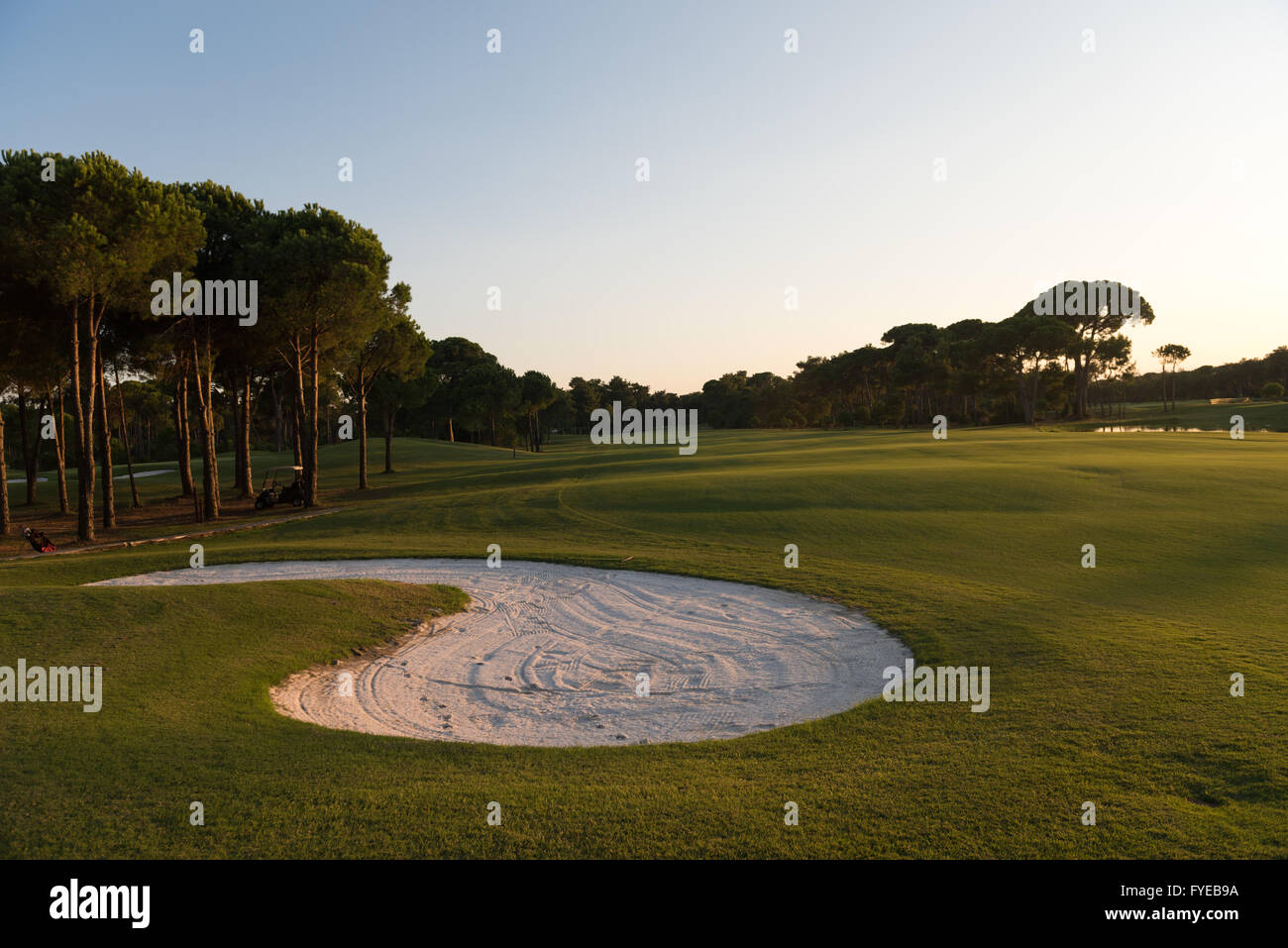 golf course landscape at beautiful sunset Stock Photo - Alamy