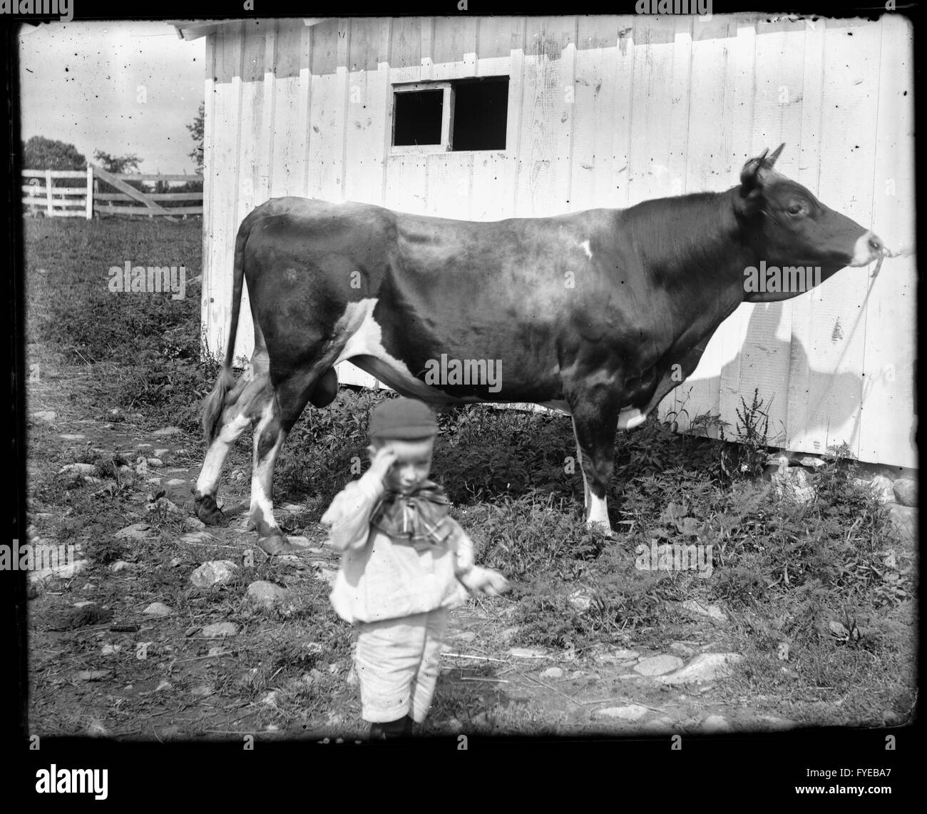 Victorian farm boy hi-res stock photography and images - Alamy