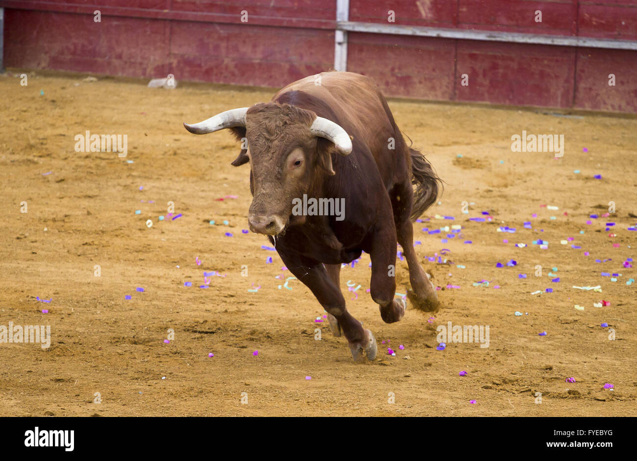Bullfighter High Resolution Stock Photography and Images - Alamy