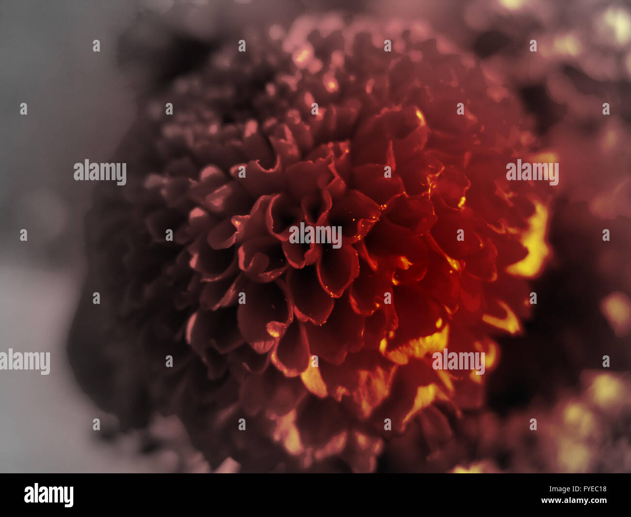 Nature environment apocalyptic, end of the world concept, global ...