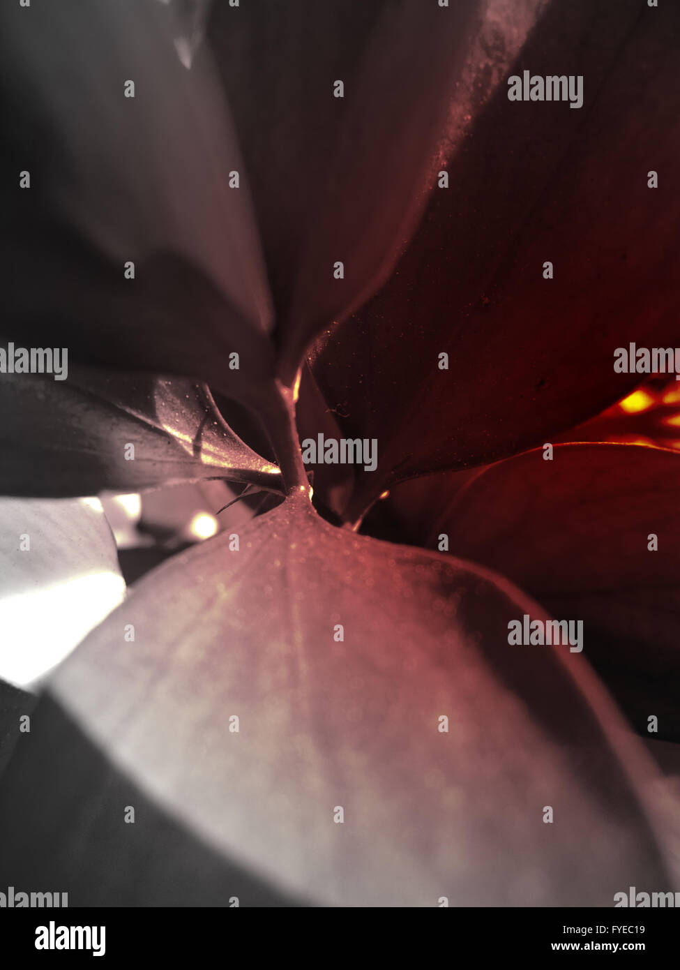 Nature environment apocalyptic, end of the world concept, global ...