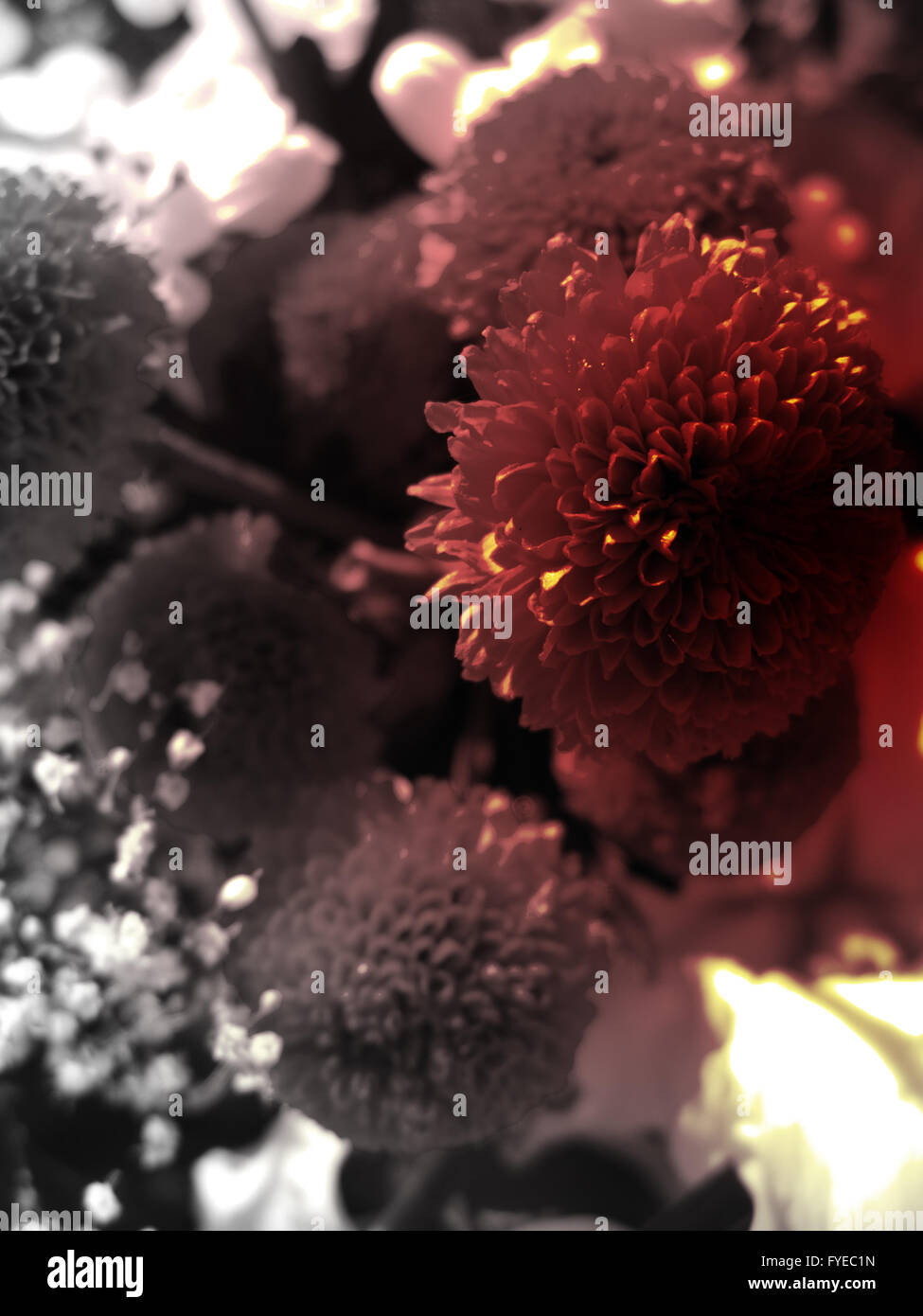 Nature environment apocalyptic, end of the world concept, global ...