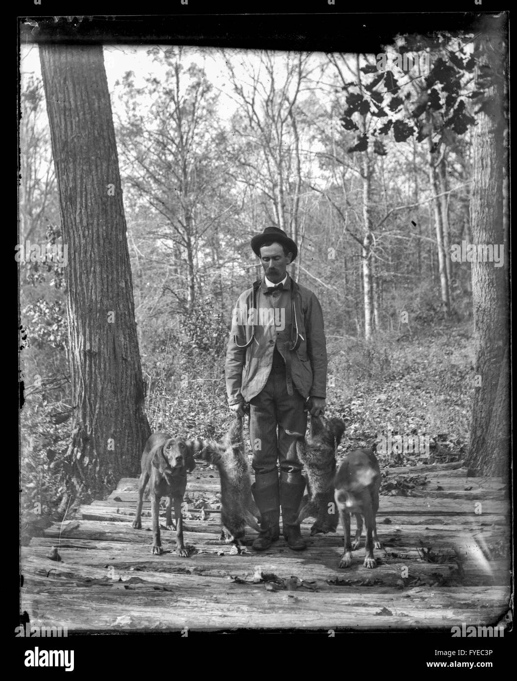 Victorian photograph of a hunter with his dogs and dead raccoons in ...