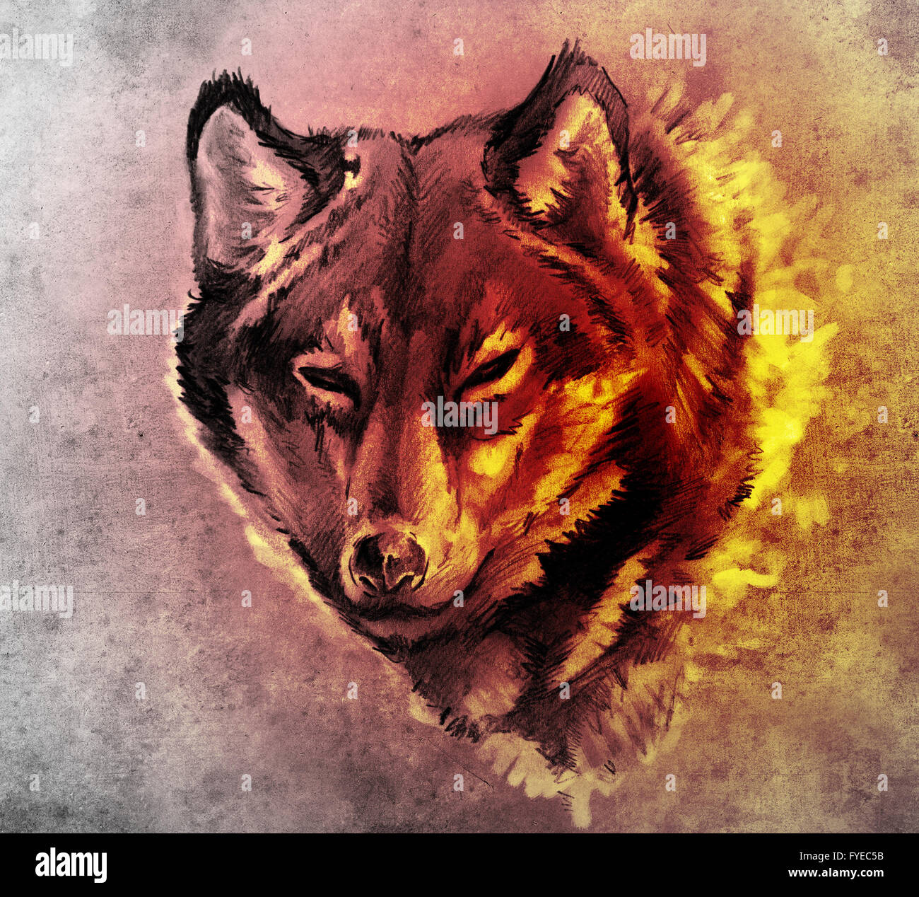 Sketch of tattoo art, Illustration of a Wolf head Stock Photo - Alamy